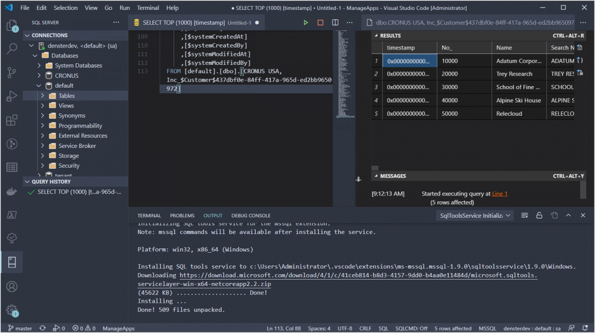 SQL Server and Docker - theDenSter